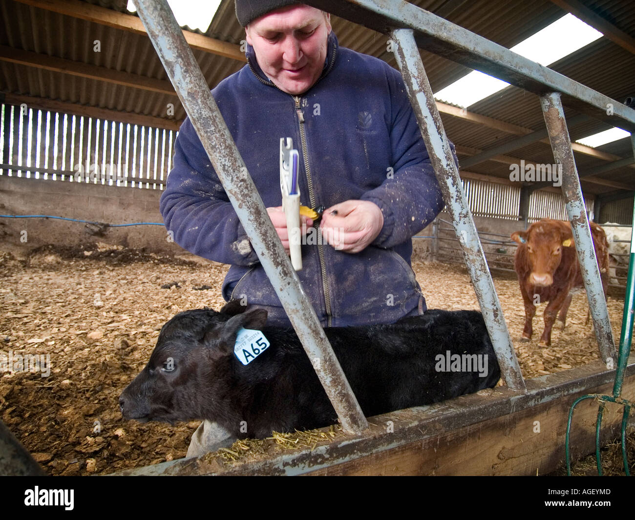 Unique identification number hi-res stock photography and images - Alamy