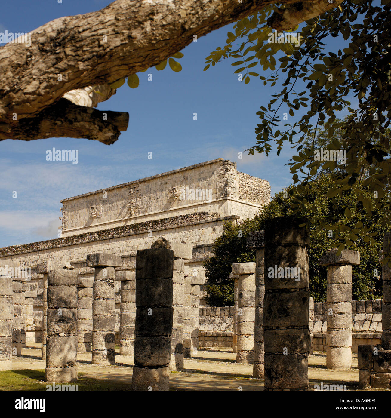 Mayan temples at Chichen Itza on the Yucatan Peninsula in Mexico Stock ...