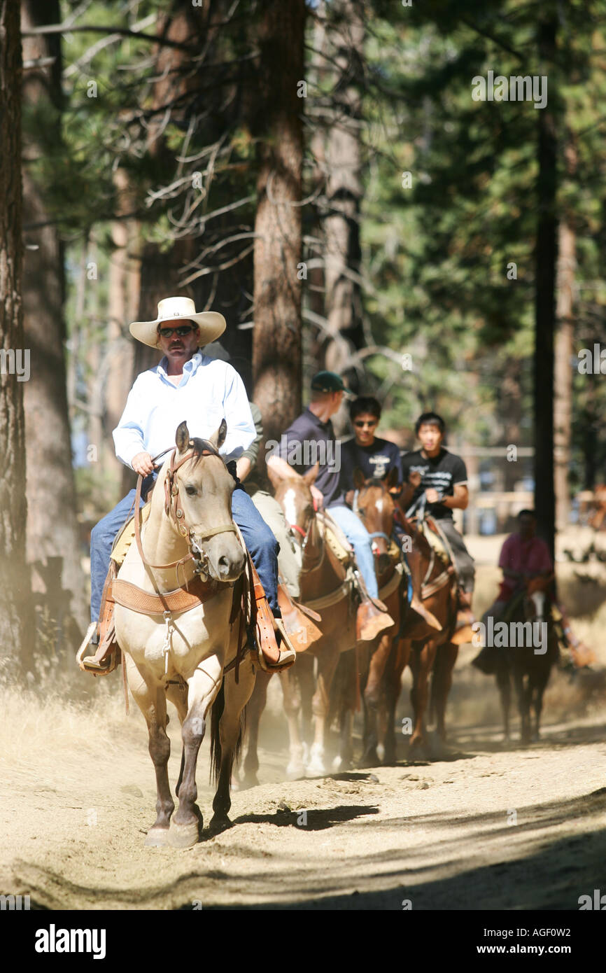 Nevada Horses High Resolution Stock Photography and Images - Alamy