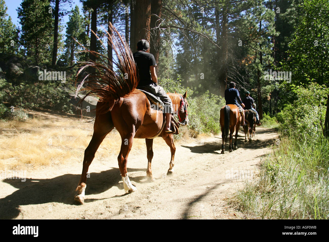 Nevada cowboys hi-res stock photography and images - Alamy