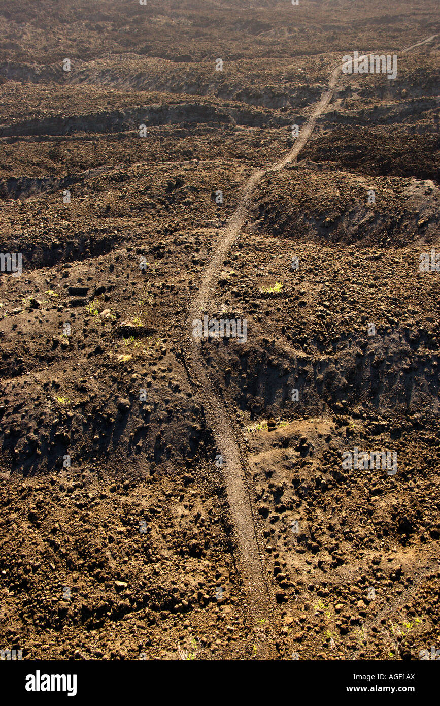 Aerial view of trail through lava rock filled terrain in Maui Hawaii ...