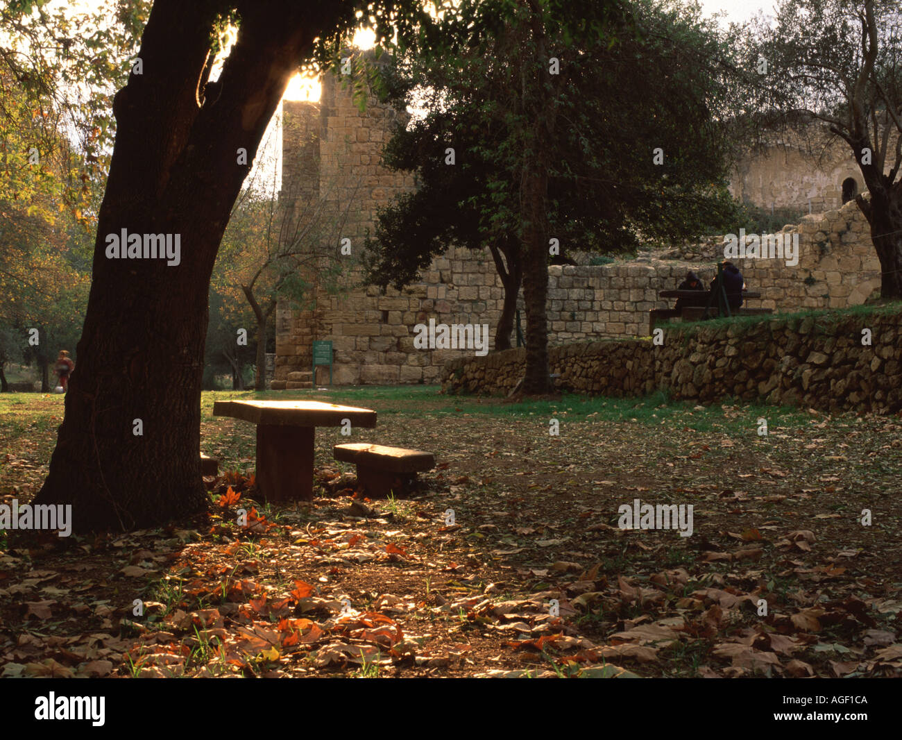 Ein Hemed National Park Israel Stock Photo - Alamy
