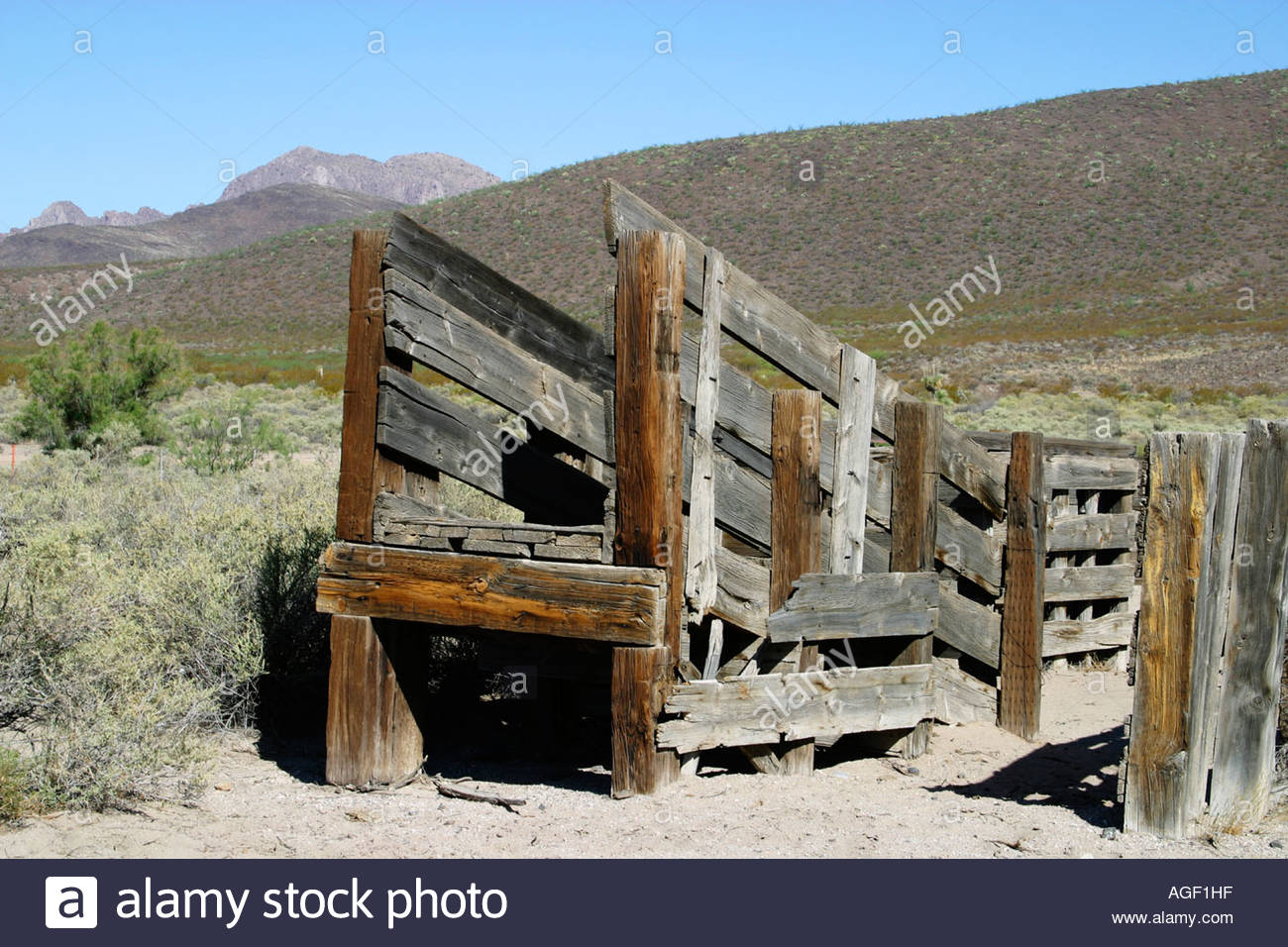 Cattle Loading Chute High Resolution Stock Photography and Images - Alamy