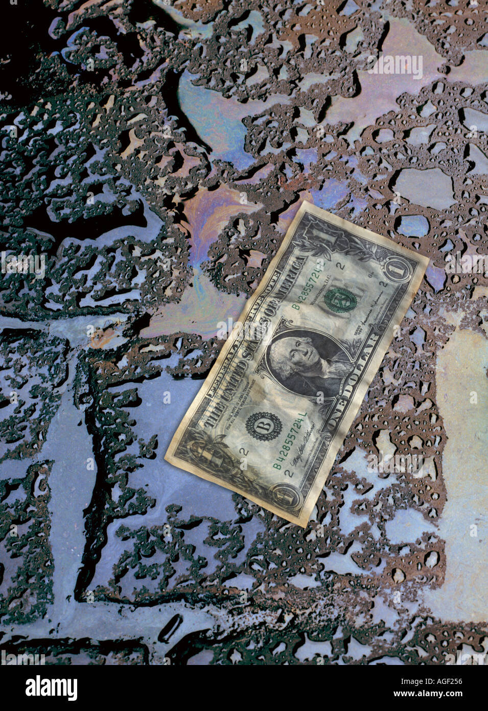 DOLLAR BILL ON OILY COBBLESTONES metaphor etc Stock Photo - Alamy