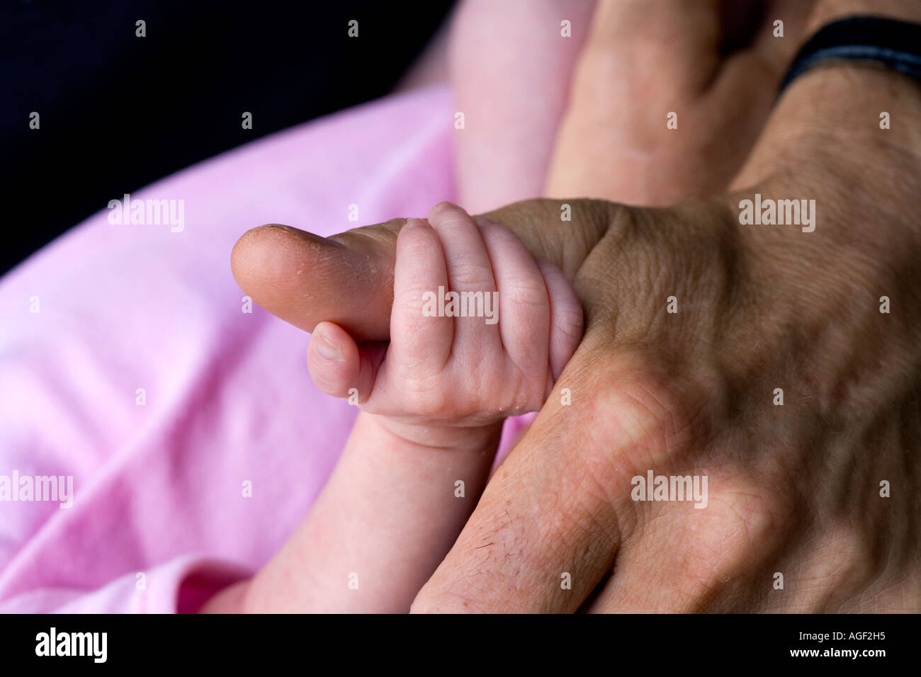 A TWO WEEK OLD FEMALE BABY GRIPPING THE THUMB OF A MANS HAND Stock ...