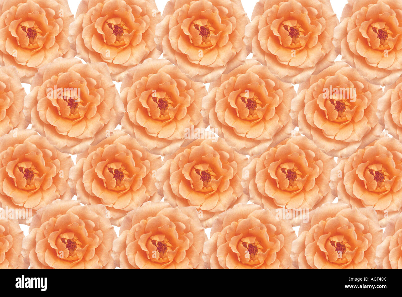 Flower sheet hi-res stock photography and images - Alamy