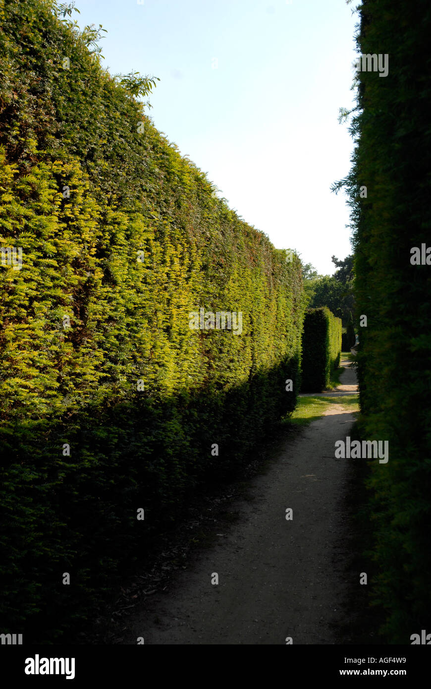 Andrea jones hedge hi-res stock photography and images - Alamy