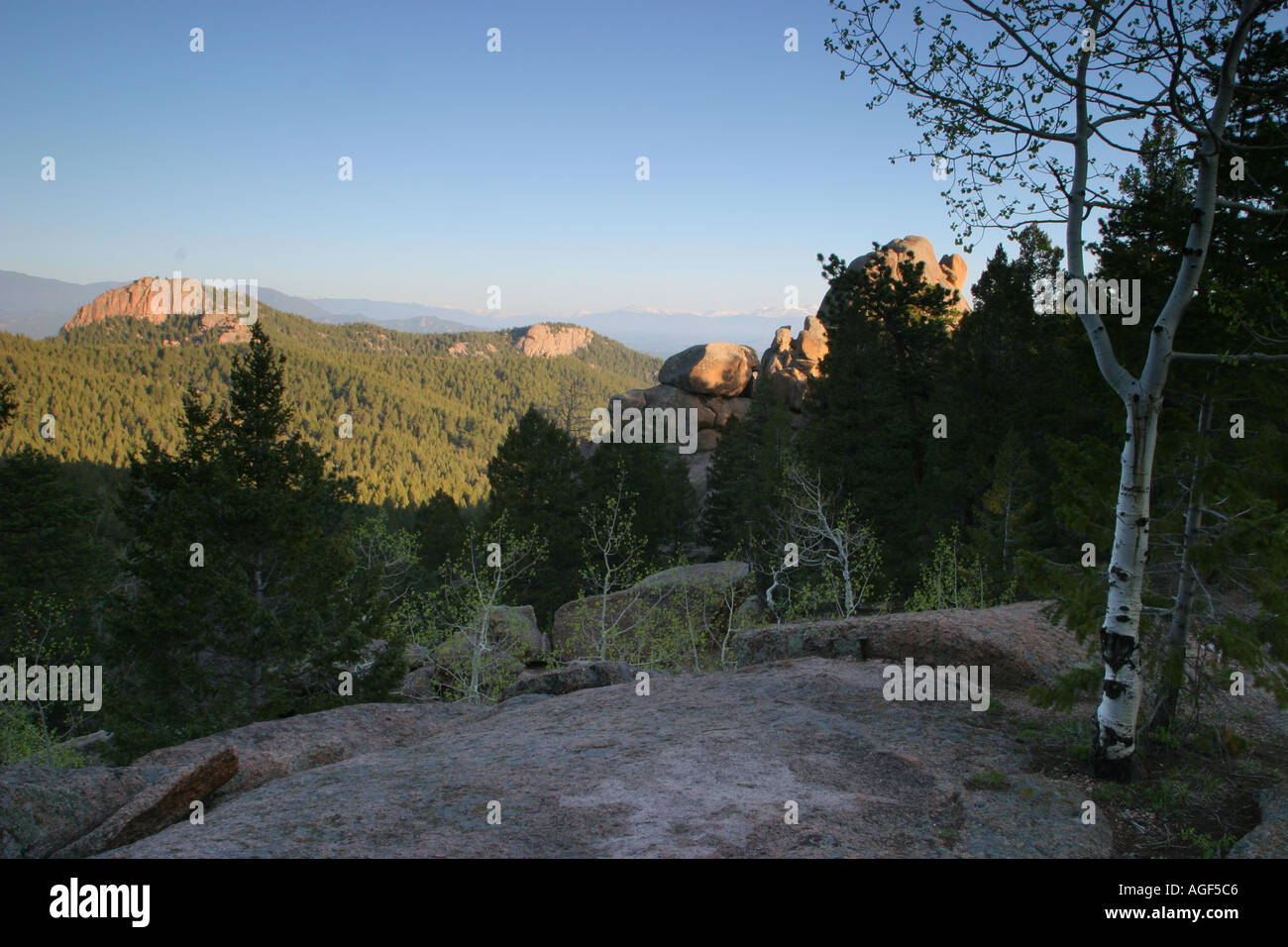Pike National Forest in Colorado Stock Photo - Alamy