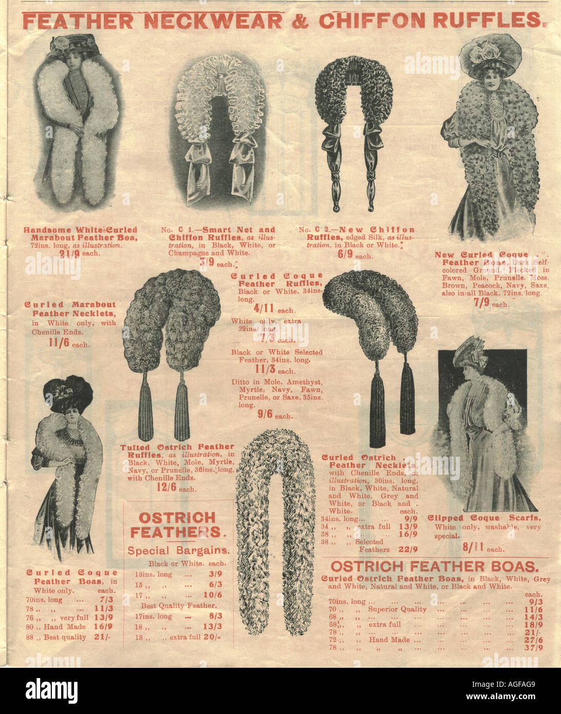 Feather neckware from the London Glove Company catalogue 1909 Stock ...