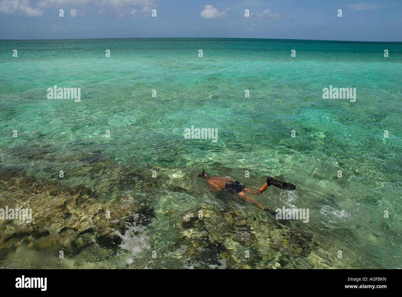Tea bay cat island bahamas hi-res stock photography and images - Alamy