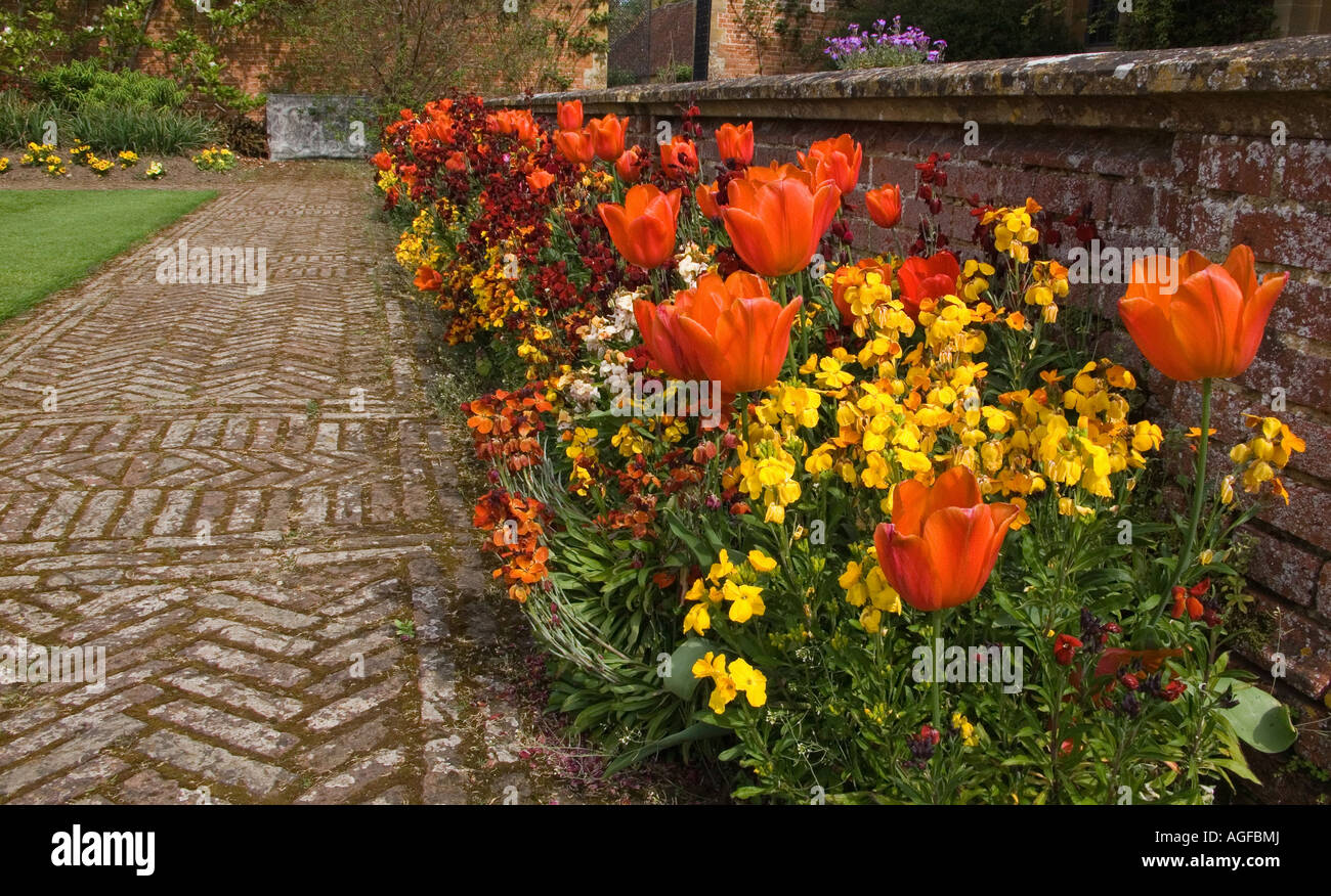 Spring border, Somerset, England, UK Stock Photo - Alamy