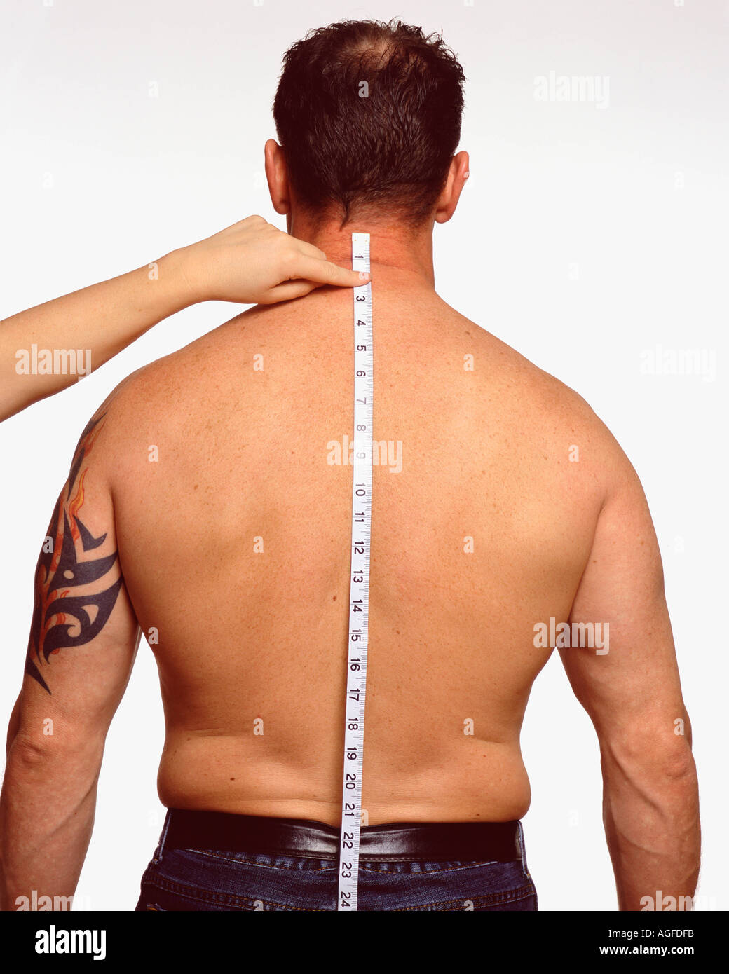 Measuring along male back Stock Photo - Alamy