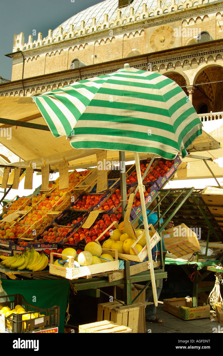 Padua (Padova) Italy, fresh fruit and vegetable market in Piazza delle ...