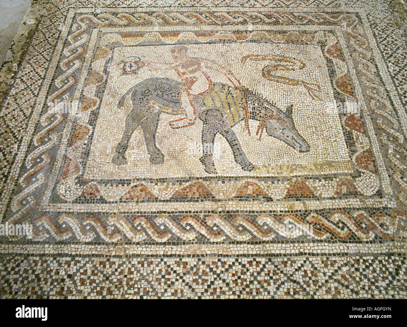 Mosaic or tessellated pavement in the floor of an old roman house in ...