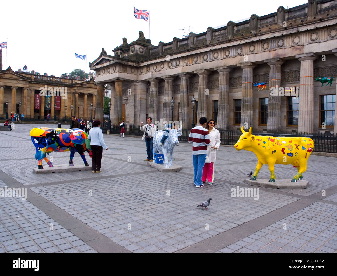Statues of cows in Edinburgh city centre Scotland Stock Photo - Alamy