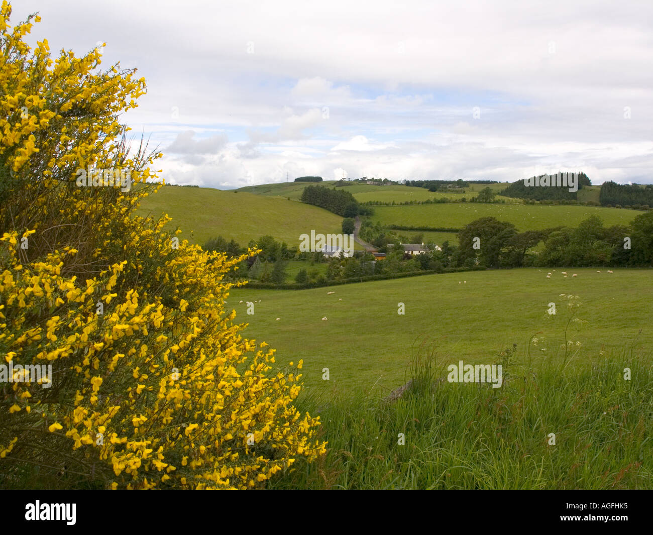Glenfarg scotland hi-res stock photography and images - Alamy