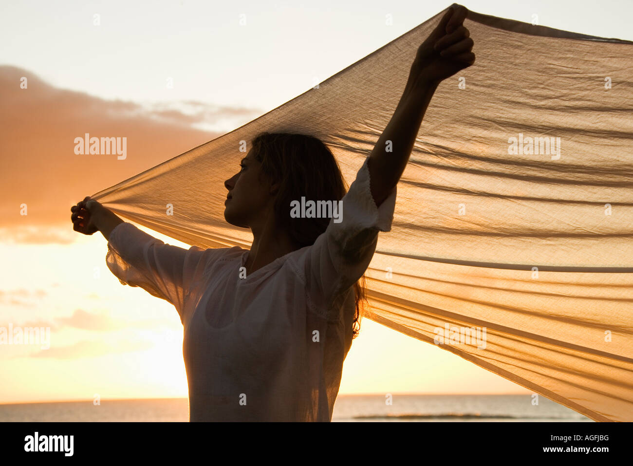Woman holding up fabric in the wind hi-res stock photography and images ...
