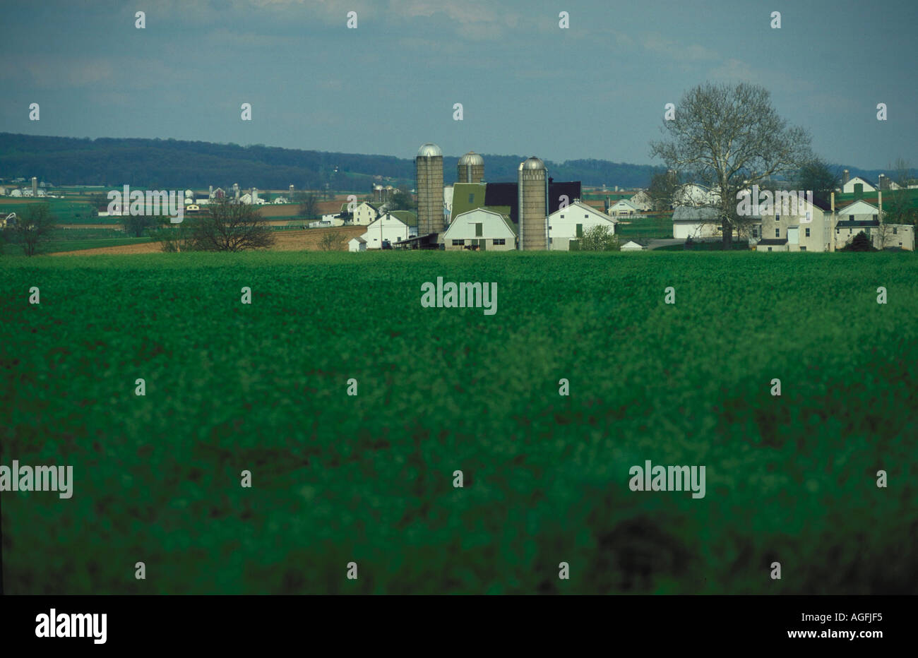 Amish landscapes hi-res stock photography and images - Alamy
