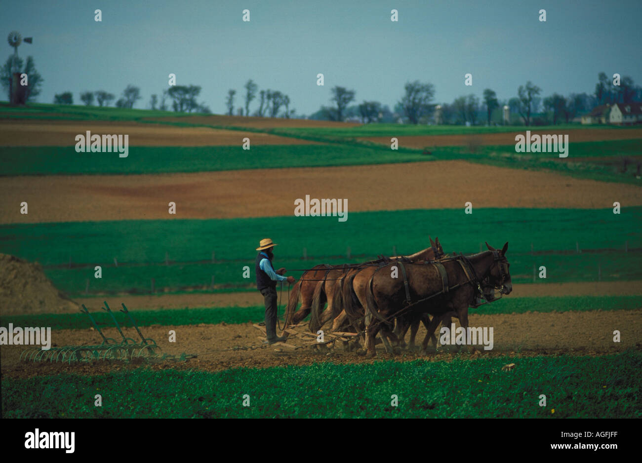 Amish farmers farm people hi-res stock photography and images - Alamy