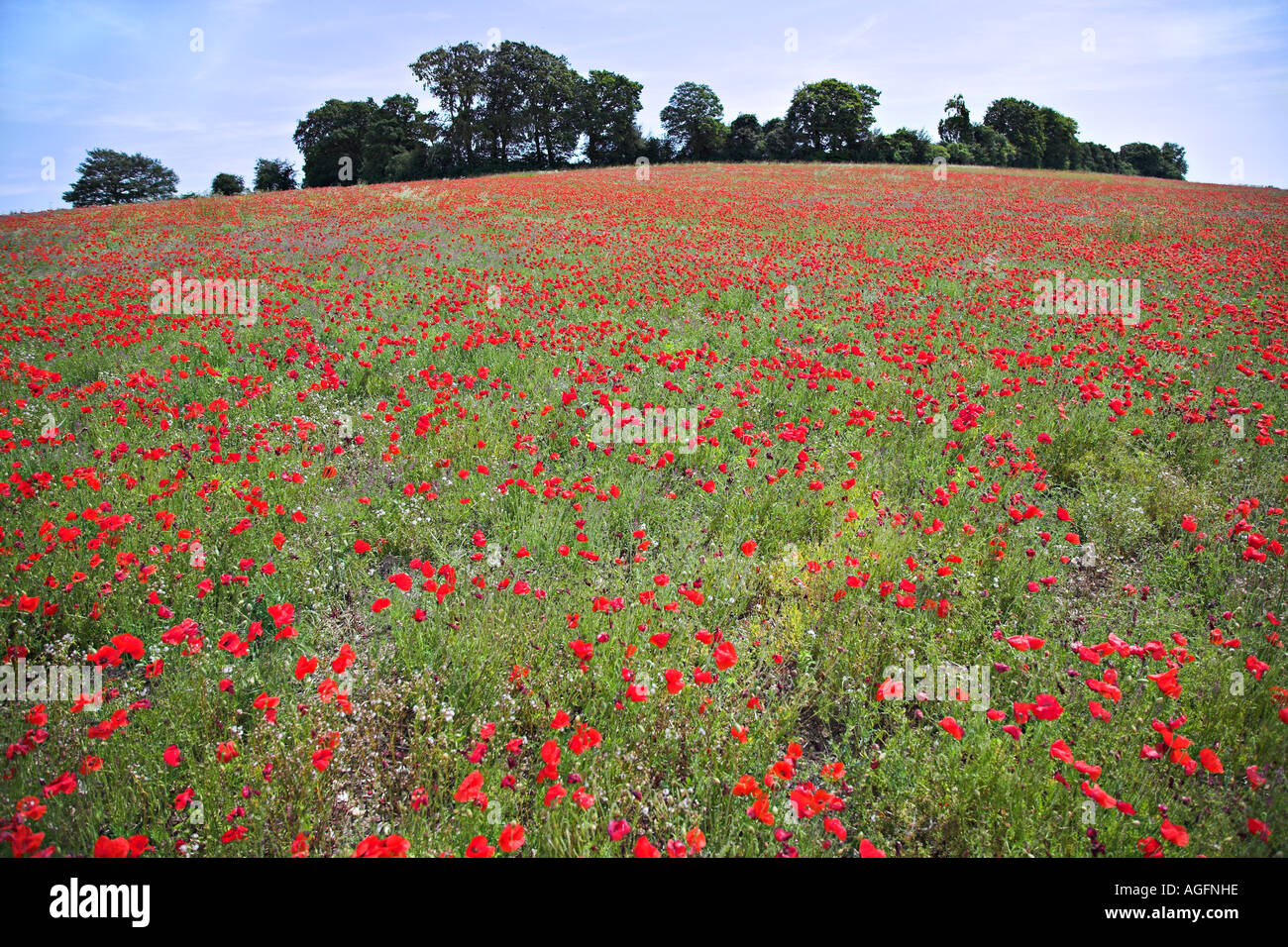Farningham wood hi-res stock photography and images - Alamy