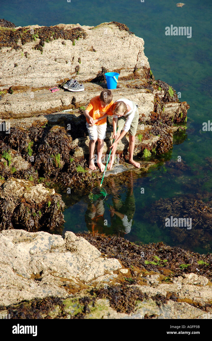 Rock pools children uk hi-res stock photography and images - Alamy
