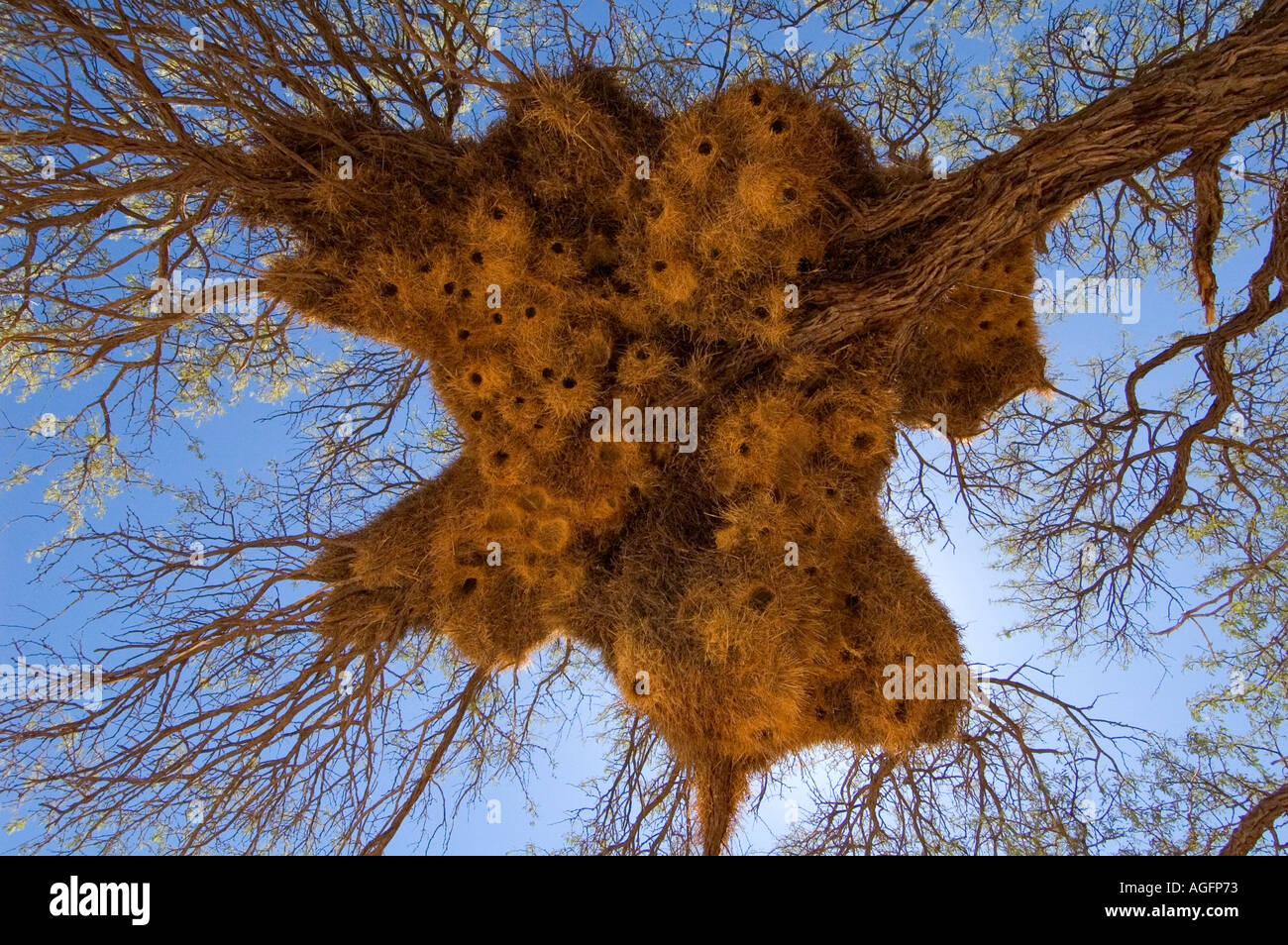 African community weavers hi-res stock photography and images - Alamy