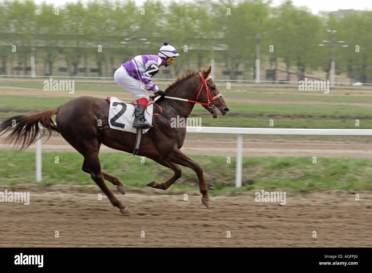 Horsey form hi-res stock photography and images - Alamy