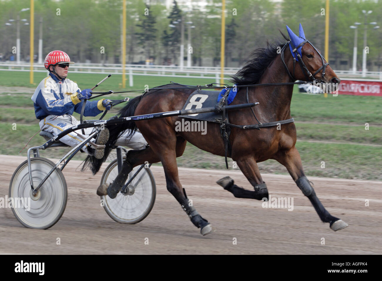 Trotting racing driver hi-res stock photography and images - Alamy