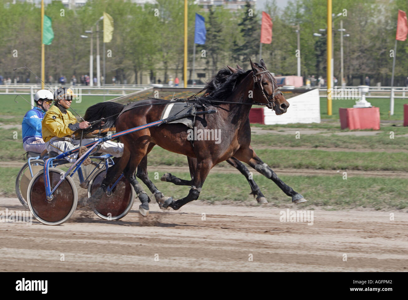 Trotting racing driver hi-res stock photography and images - Alamy