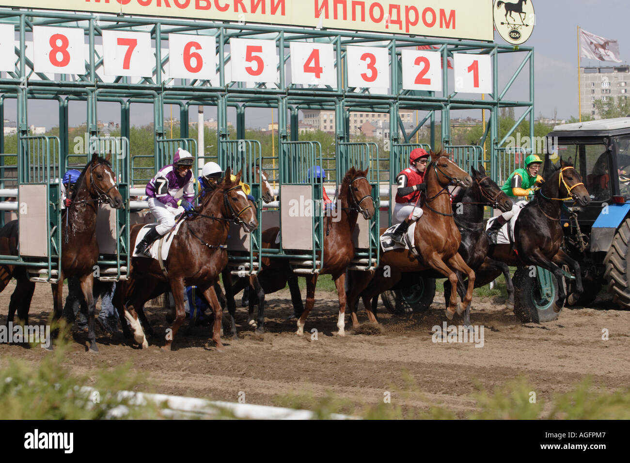 Horse racing start gate hi-res stock photography and images - Alamy