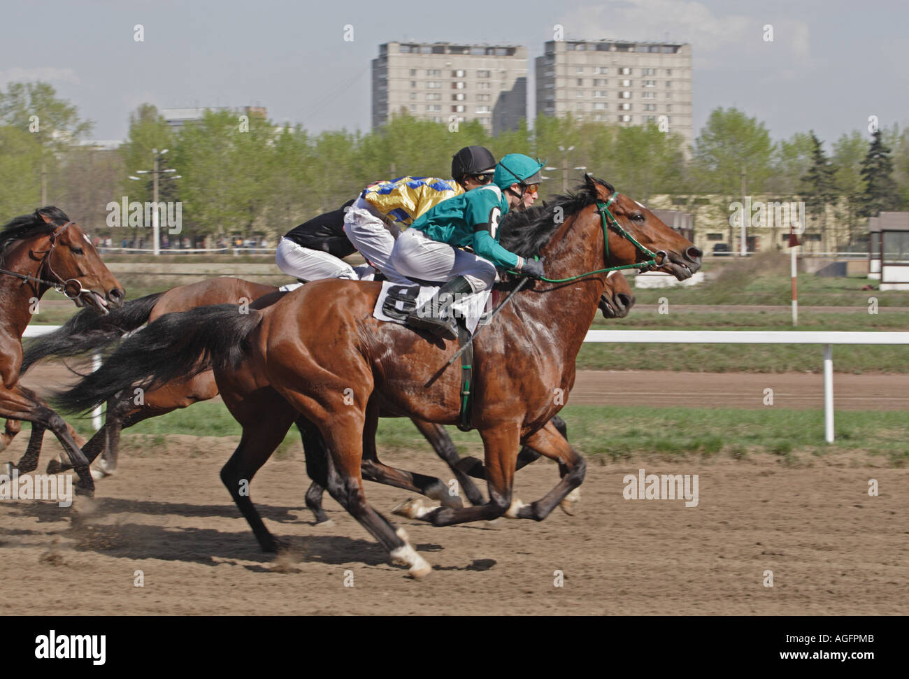 Horse stable racing hi-res stock photography and images - Alamy