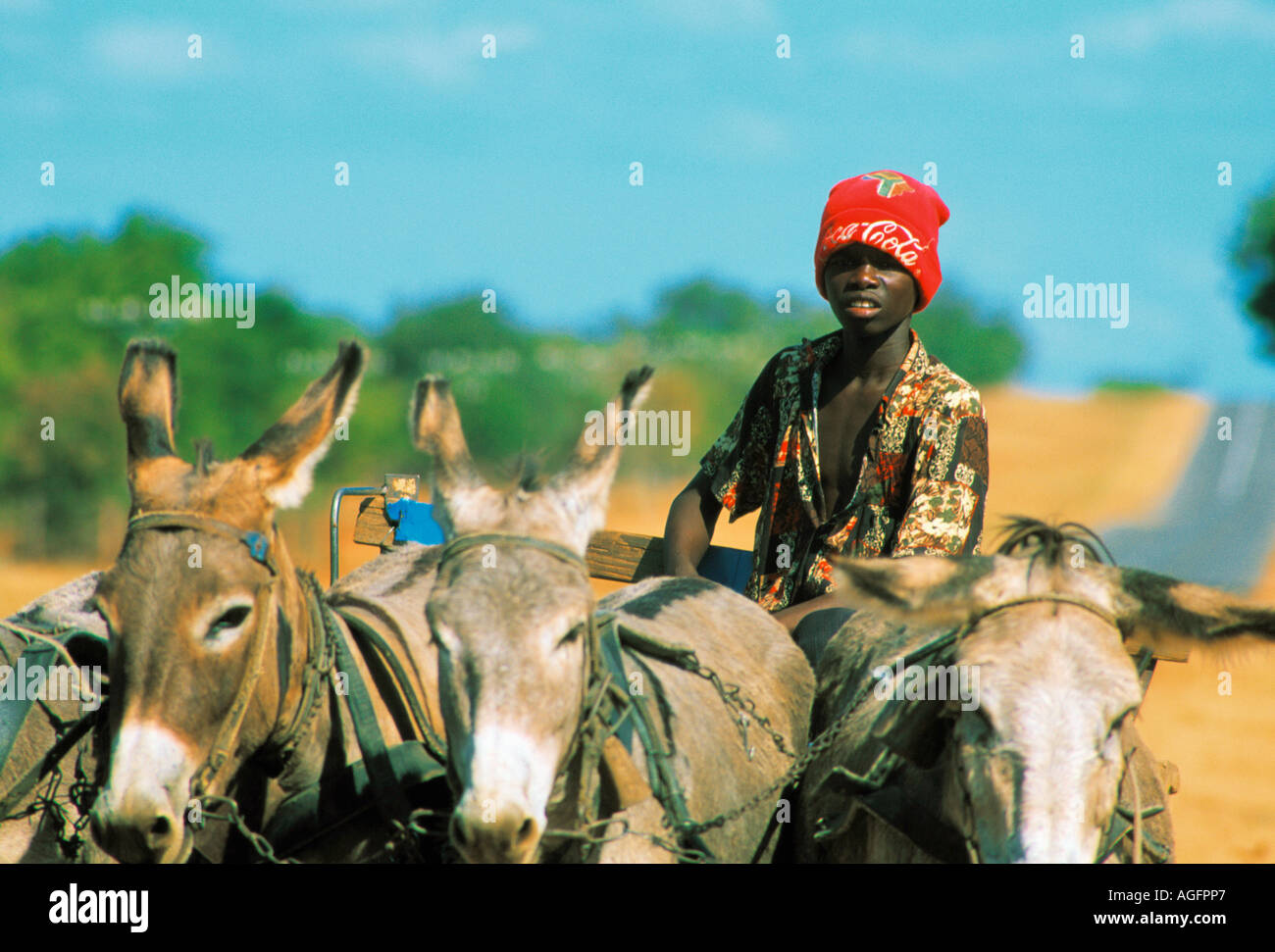 Donkey cart country road hi-res stock photography and images - Alamy