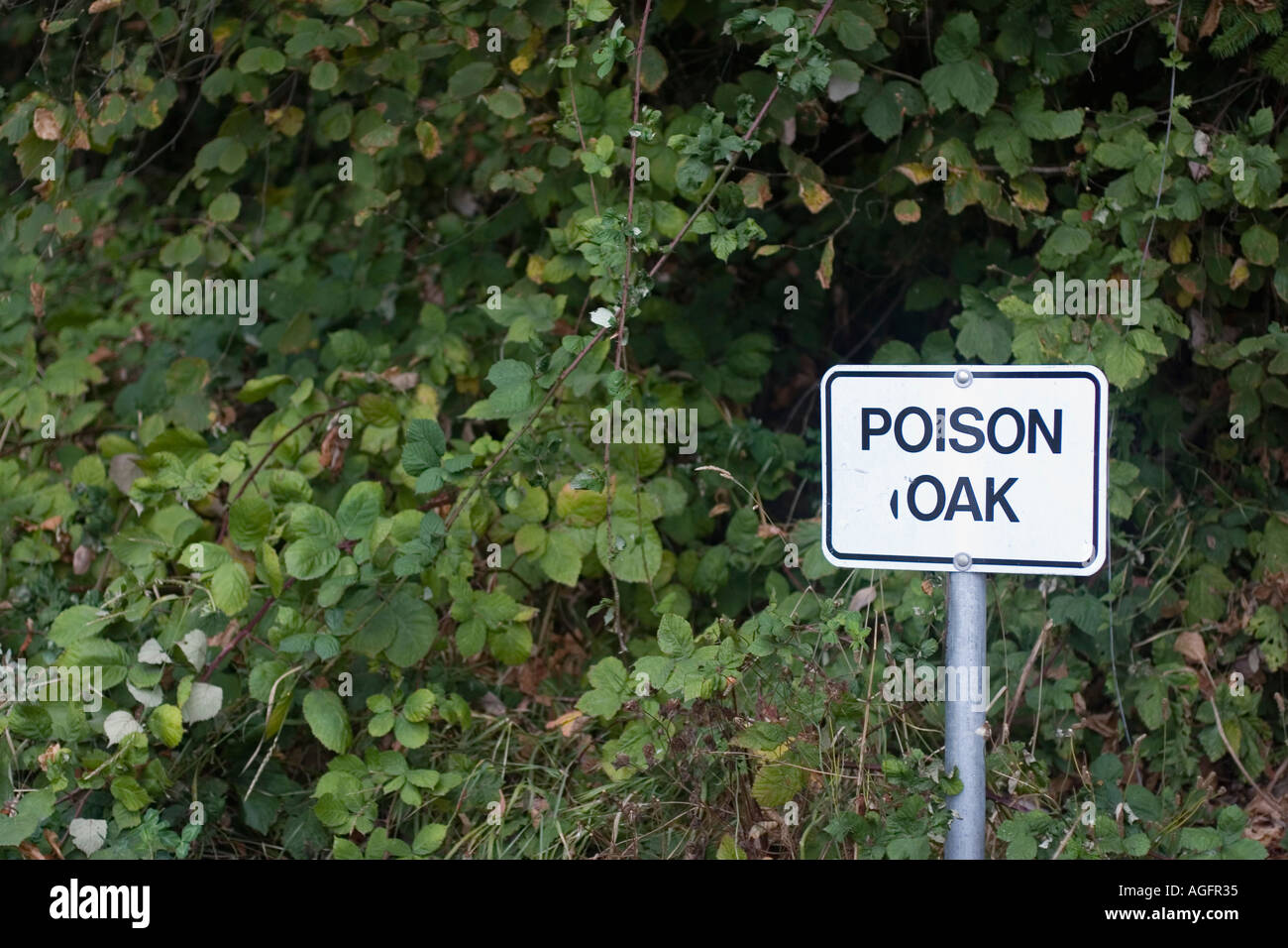 Danger poison oak sign hi-res stock photography and images - Alamy