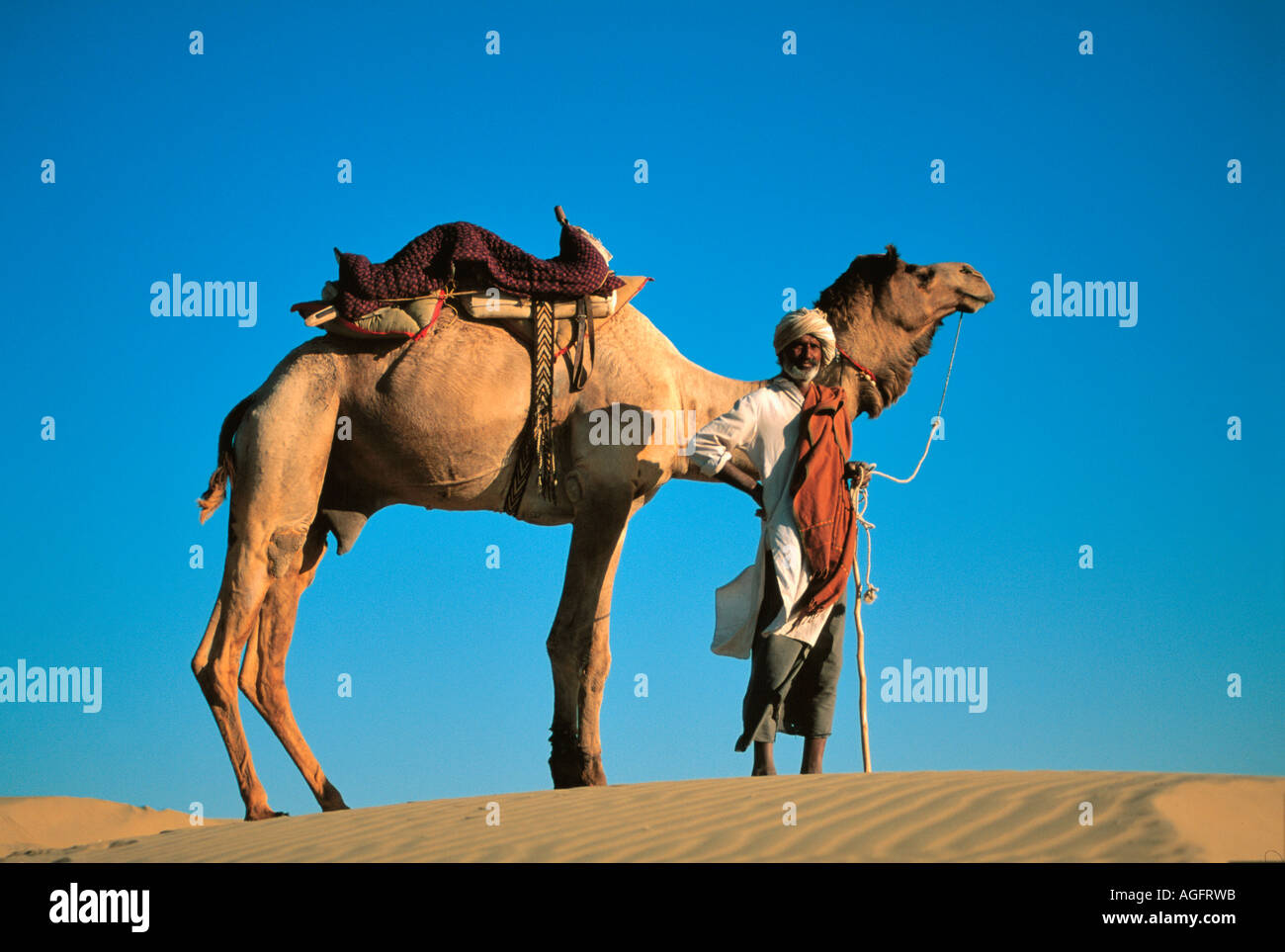 Camel with keeper, Sam desert, Rajasthan, India Stock Photo - Alamy