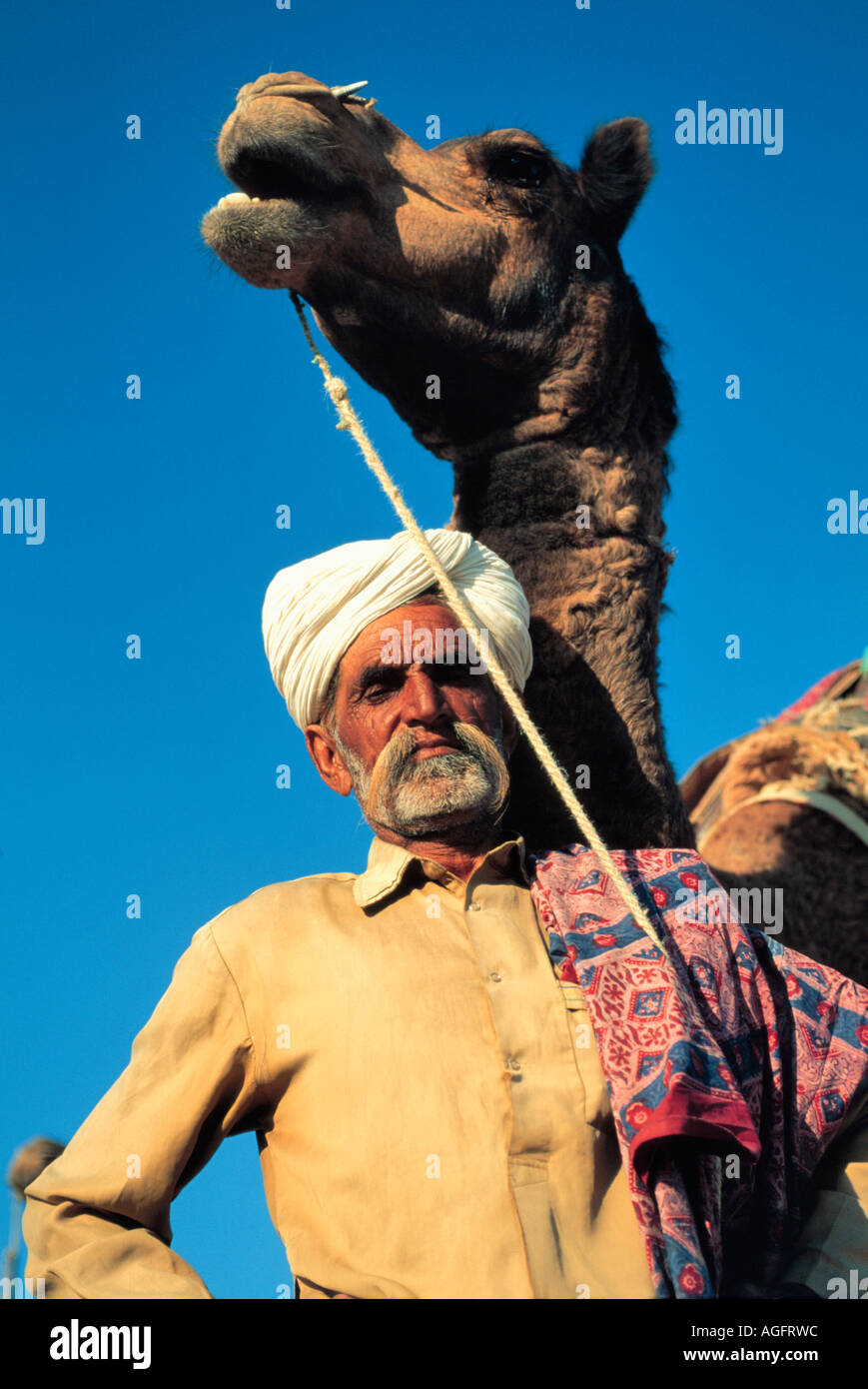 Camel with keeper, Sam desert, Rajasthan, India Stock Photo - Alamy