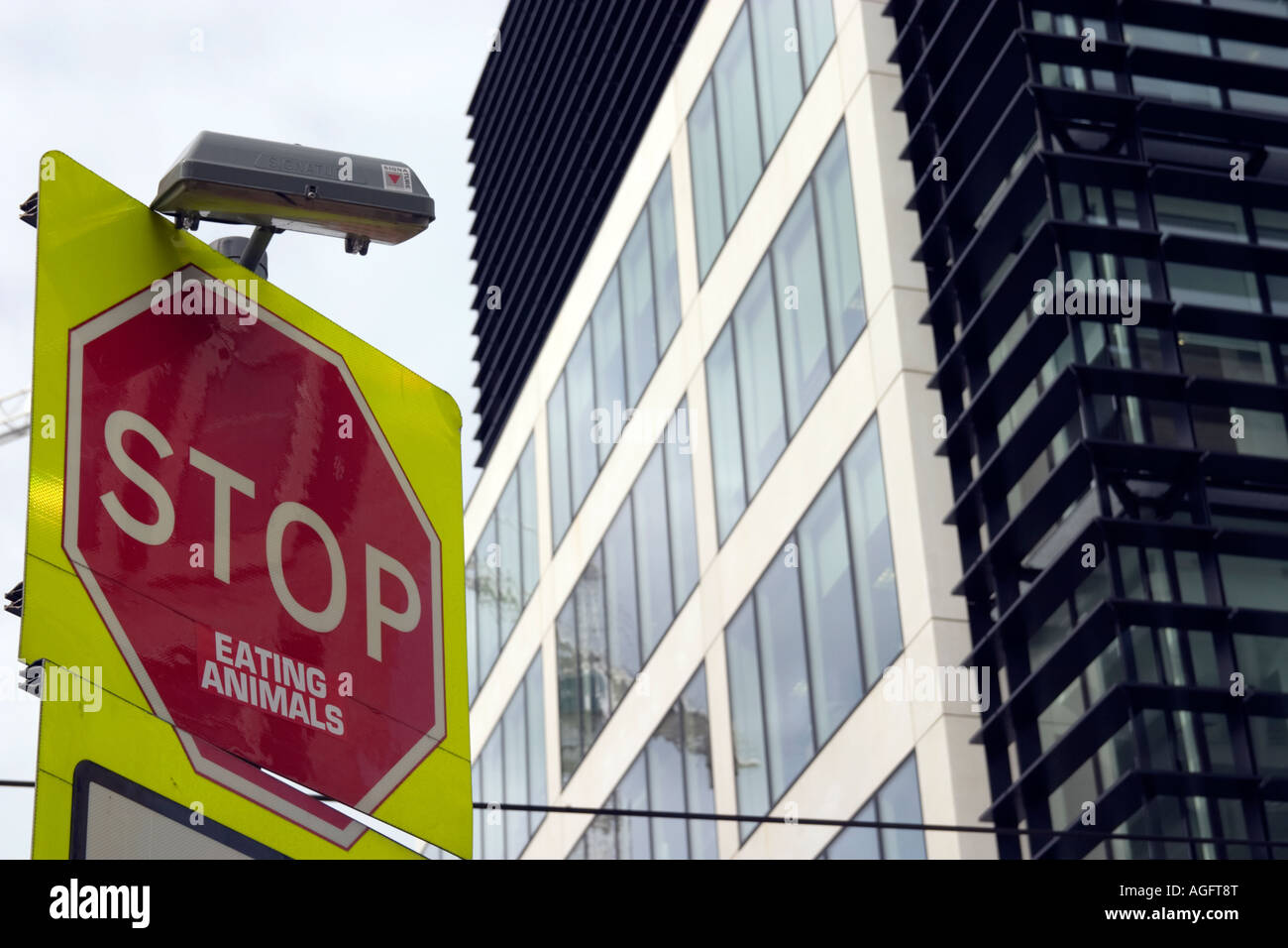 Stop Eating Animals Sign Stock Photo - Alamy