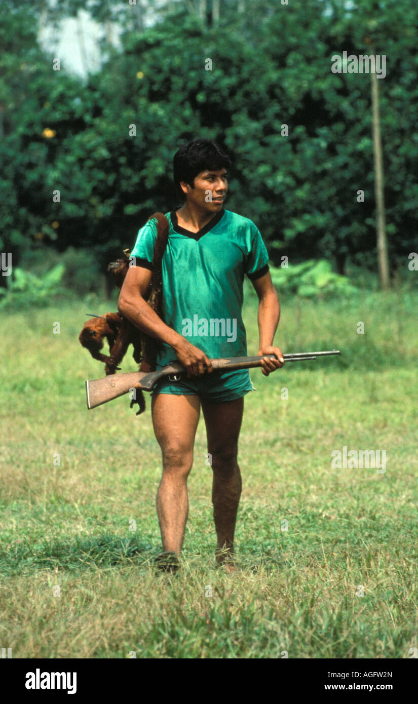 Dead monkey hi-res stock photography and images - Alamy