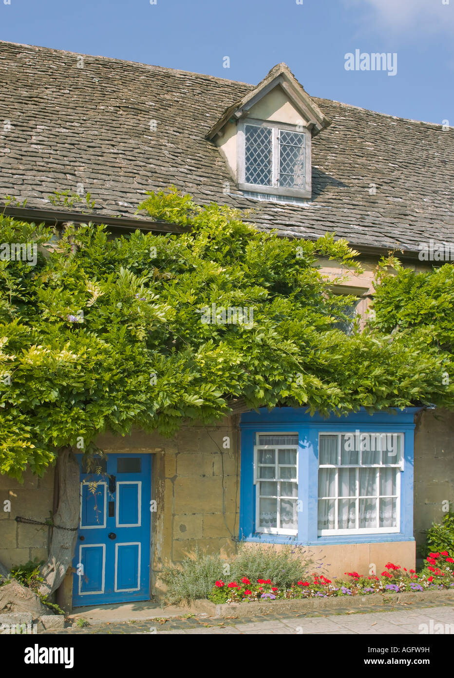 cottage with creeper plant growing all over it Stock Photo - Alamy