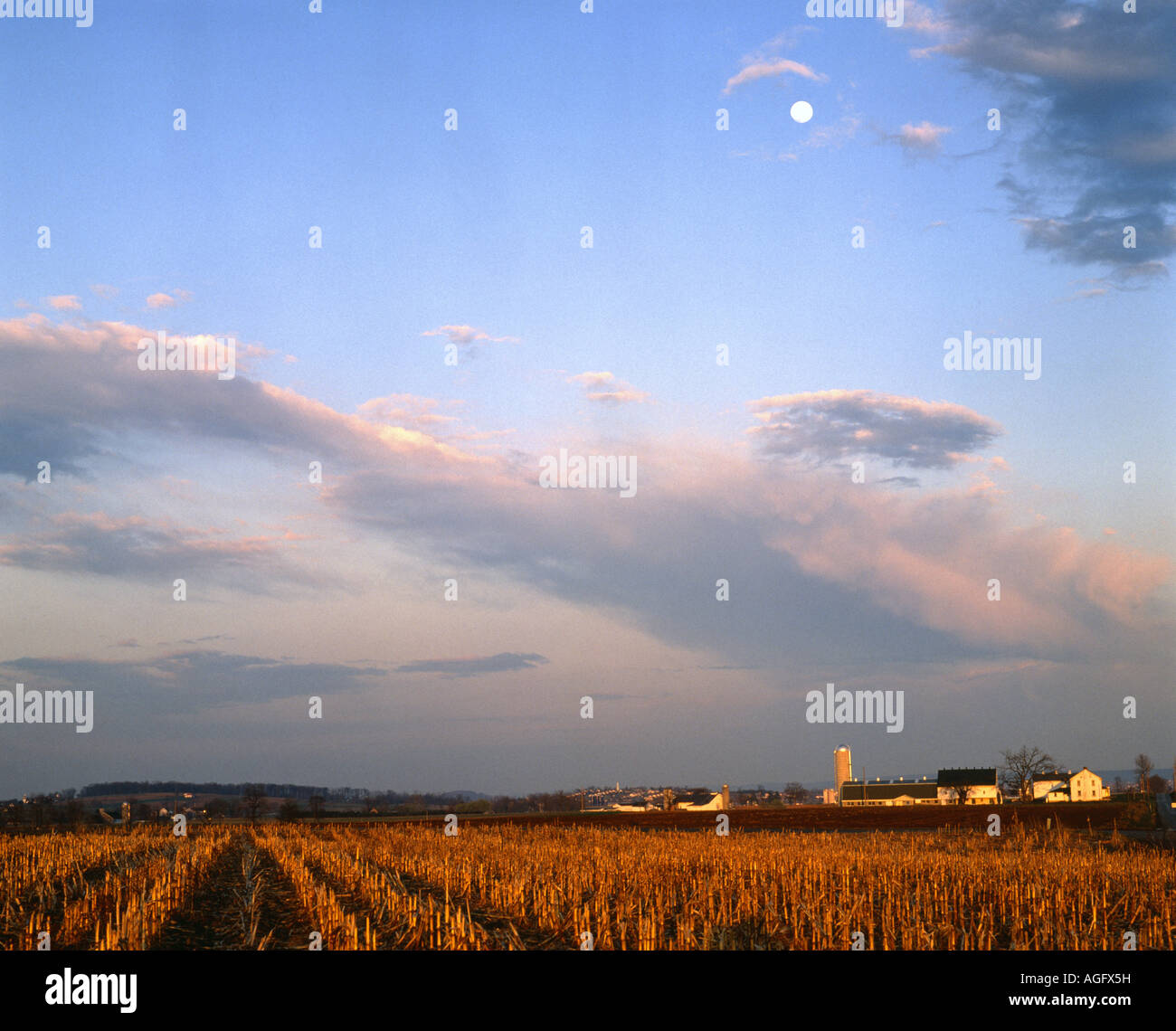 Harvest moon corn hi-res stock photography and images - Alamy