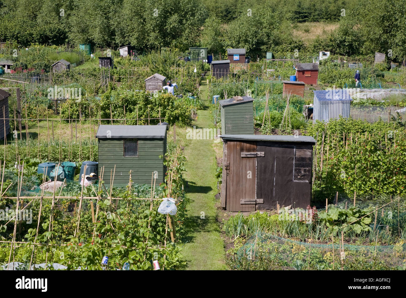 Allotments bristol hi-res stock photography and images - Alamy