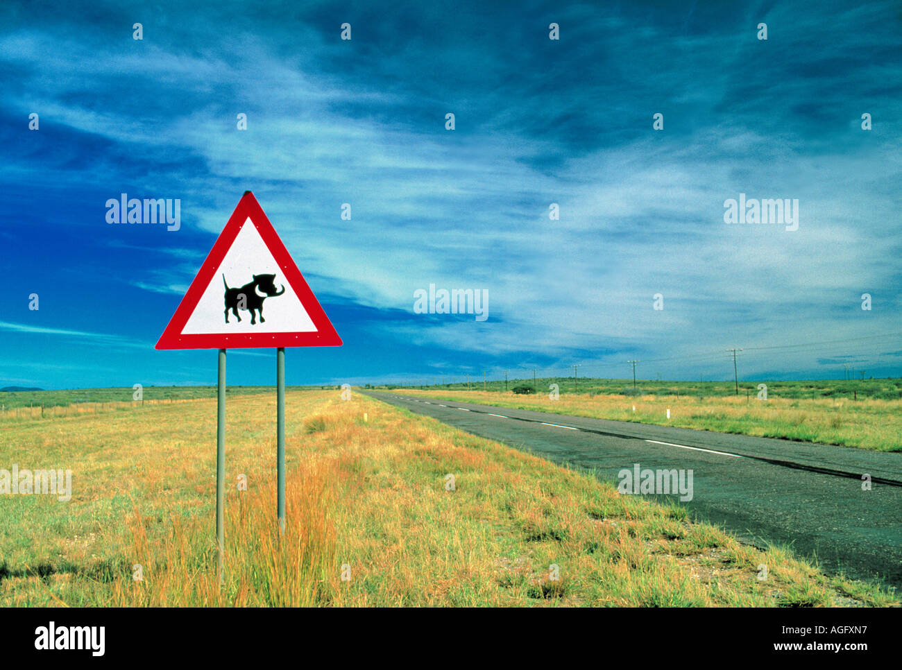 road sign, beware of crossing wild boars, Namibia Stock Photo - Alamy