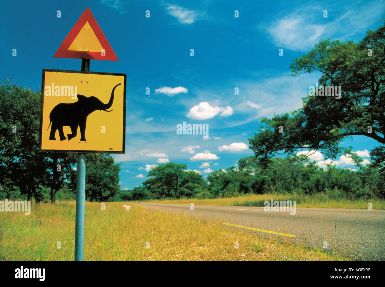Road sign elephants crossing hi-res stock photography and images - Alamy
