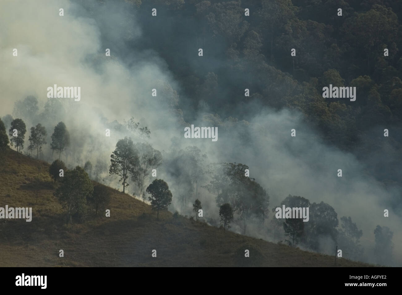 smoke rising from a grass fire Stock Photo - Alamy