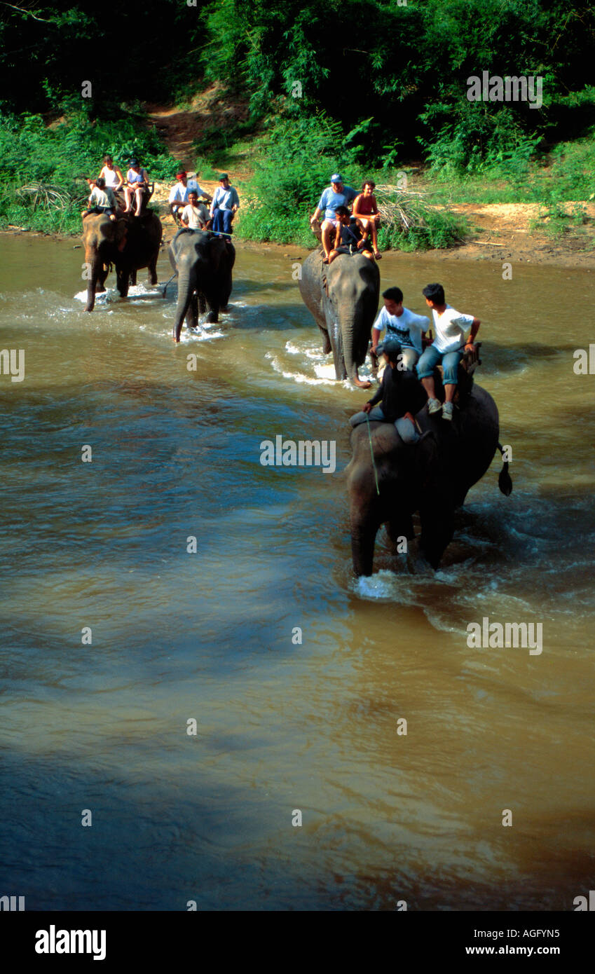 Chang rai jungle hi-res stock photography and images - Alamy