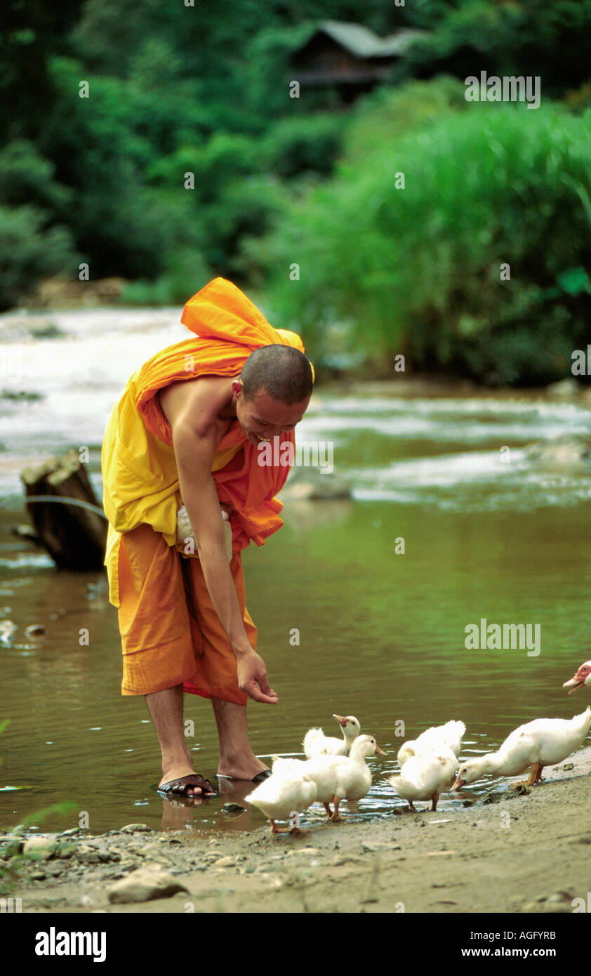 Monk feeding hi-res stock photography and images - Alamy