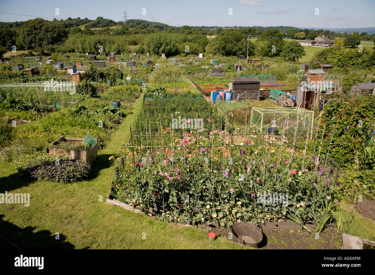 Allotments bristol hi-res stock photography and images - Alamy