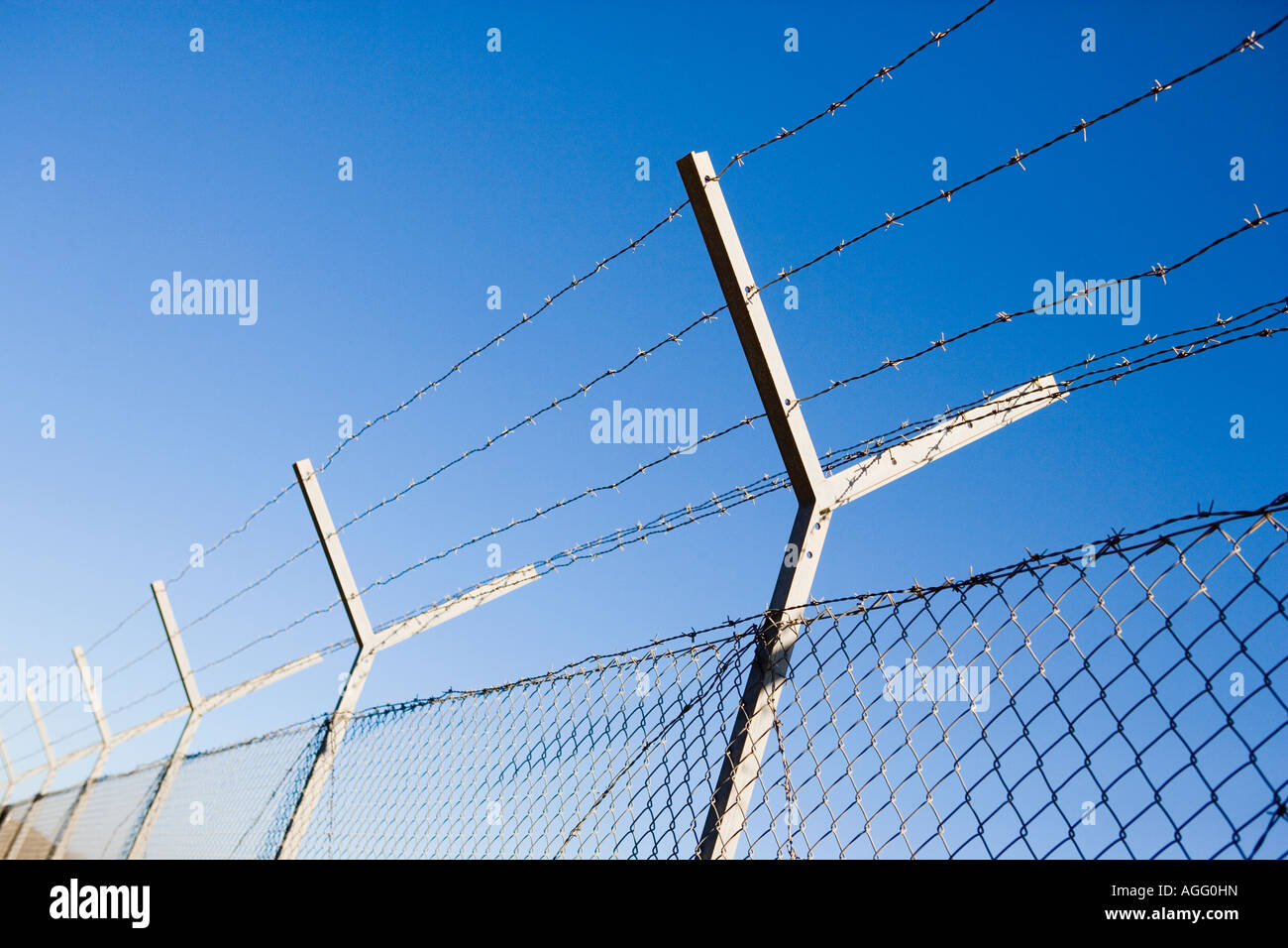 Barb wire fence Stock Photo - Alamy