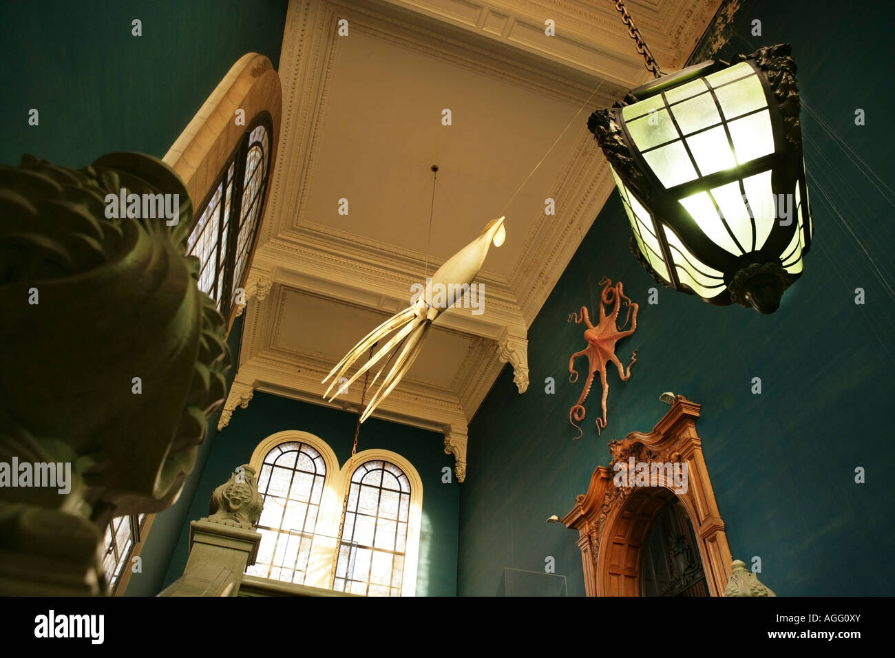 Giant Squid and Octopus reproduction in Montecarlo's Oceanogrtaphic ...