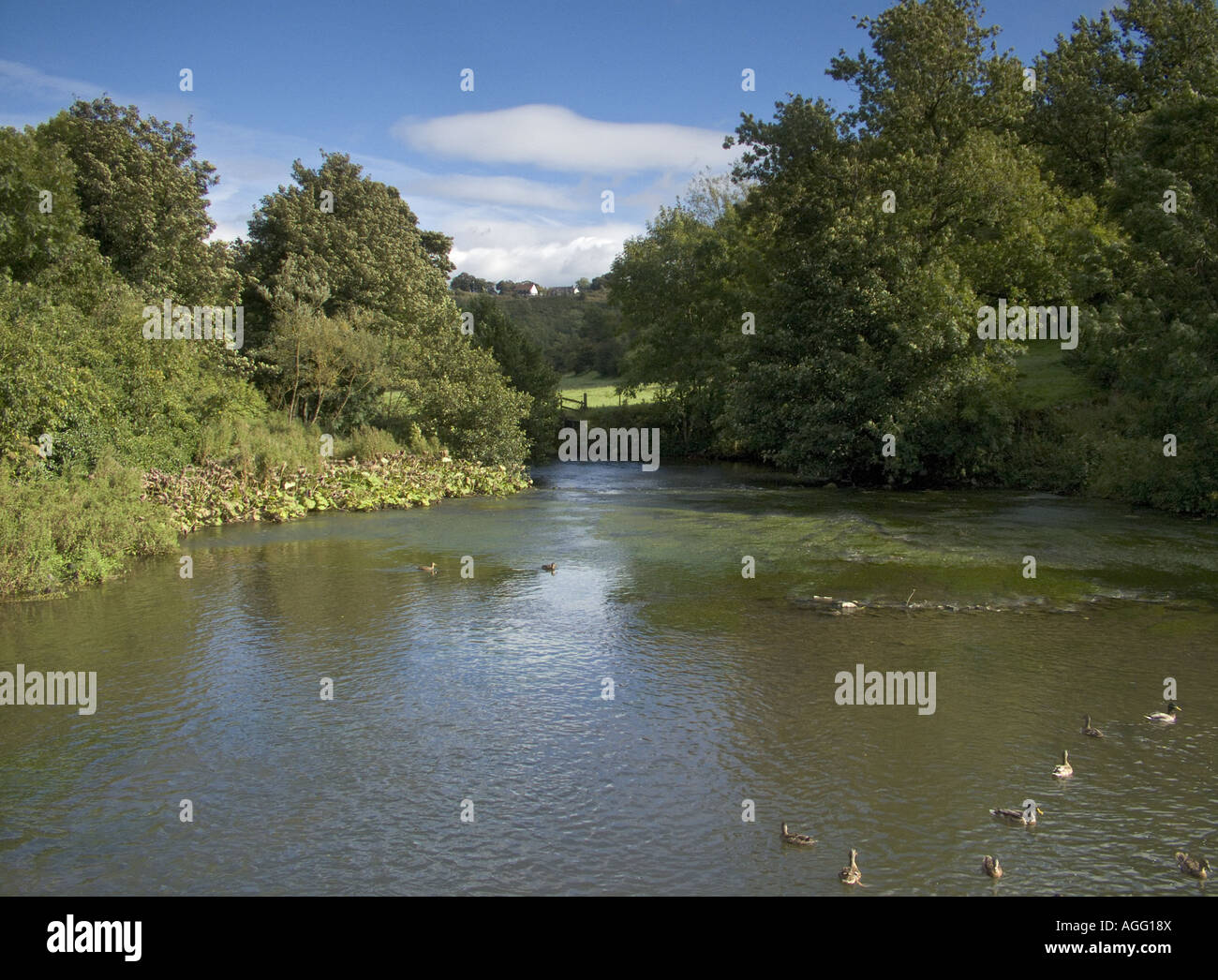 River Wye in Monsal Dale, Derbyshire, Peak District National Park ...