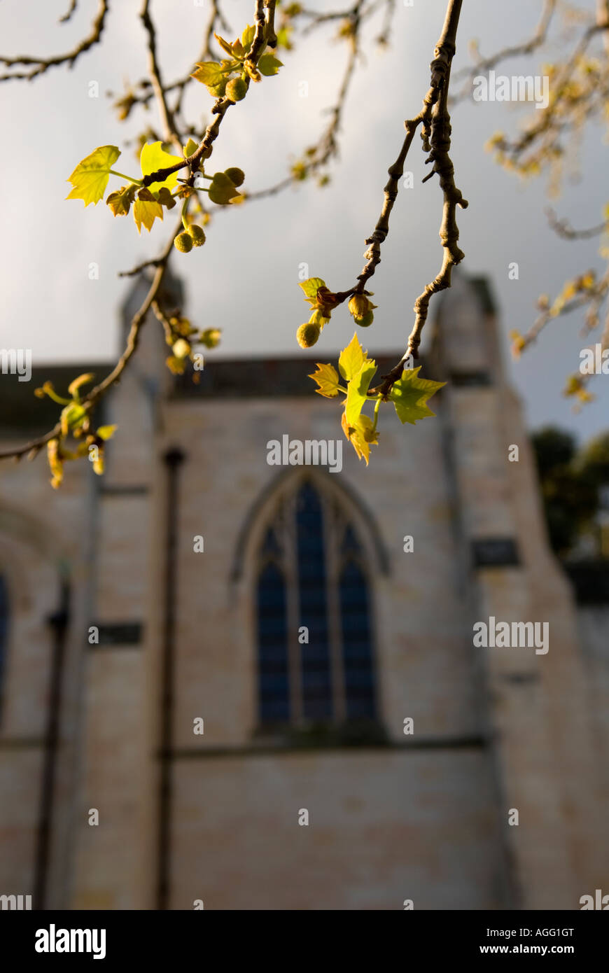 Slightly overhanging branches hi-res stock photography and images - Alamy